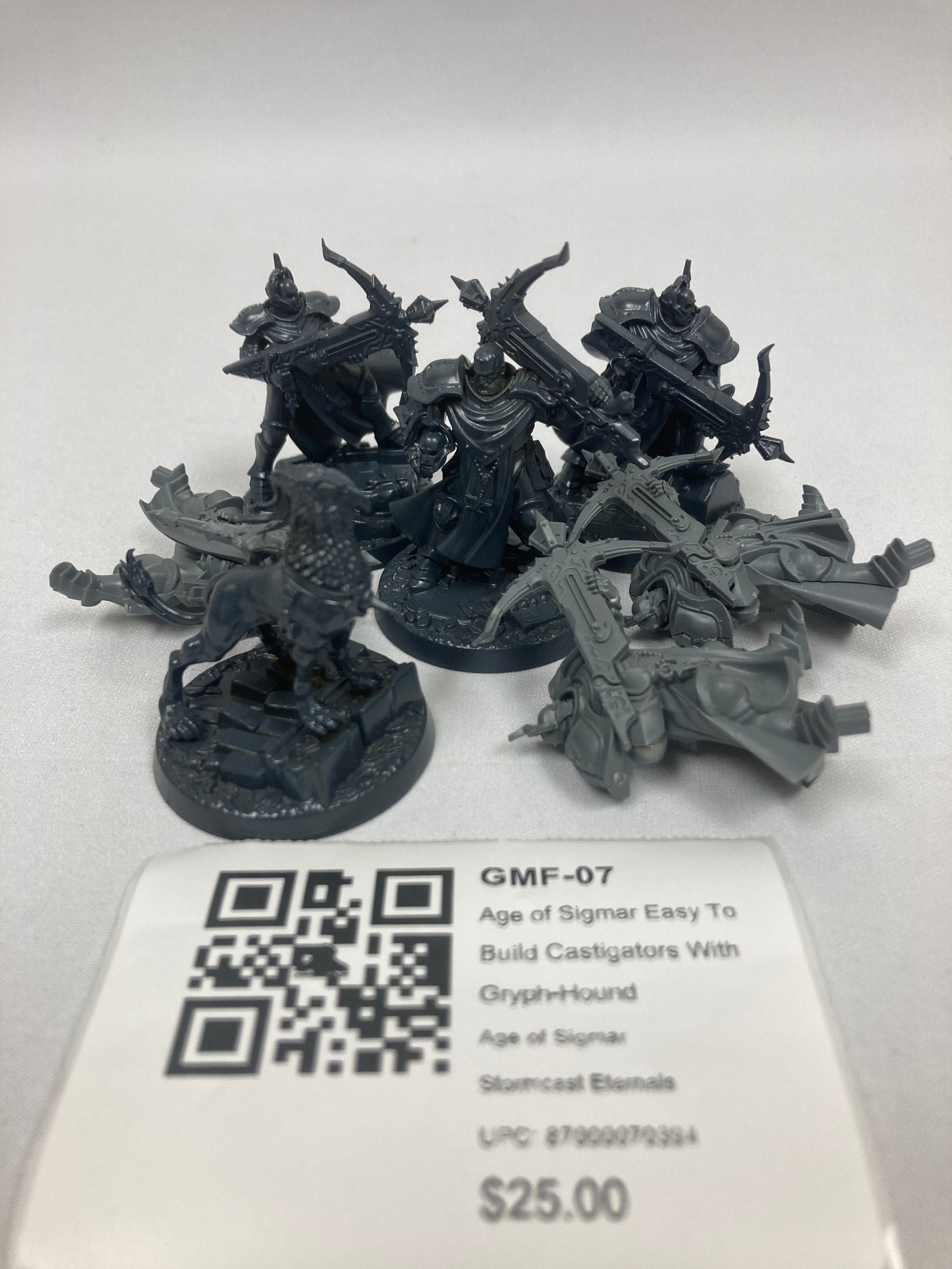 Age of Sigmar Easy To Build Castigators With Gryph-Hound GMF-07 ...
